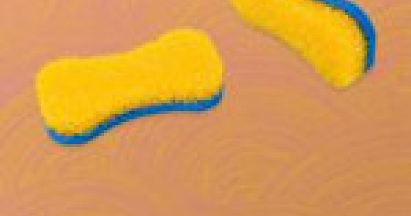 Deco sponge structure - plaster effect